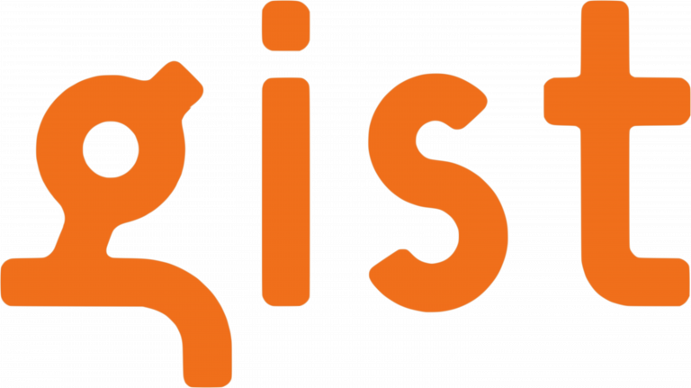 Gist - OPT